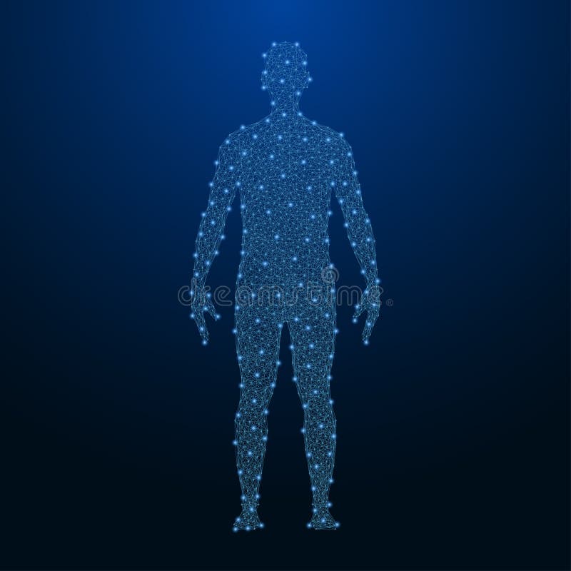 Human Body Low Poly Wireframe Stock Illustrations – 722 Human Body Low ...