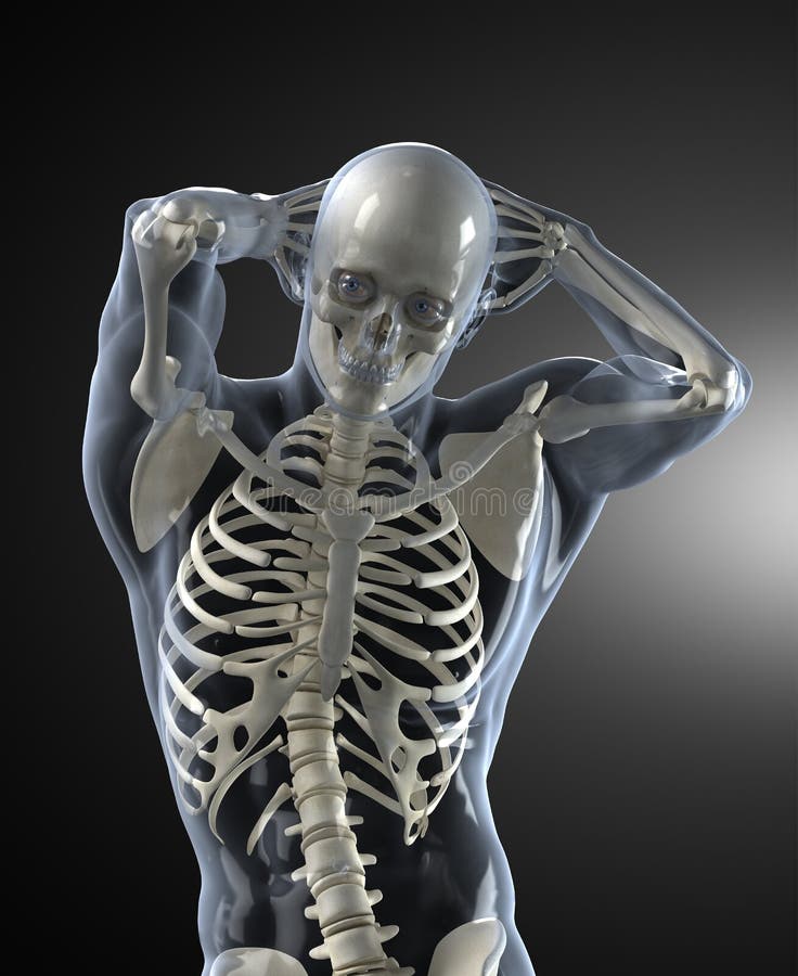 Human Body Medical Scan Royalty Free Stock Photos - Image: 18773138