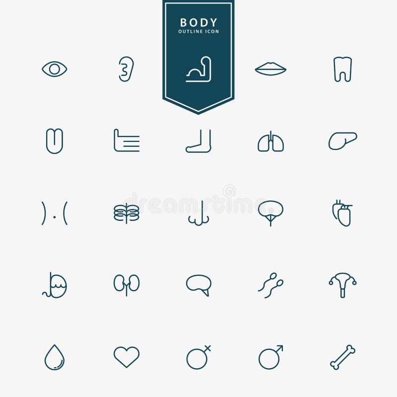 25 Human Body Minimal Line Icons Stock Vector - Illustration of bones ...