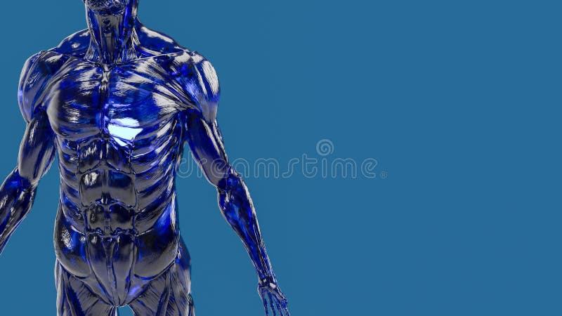 3d Muscular Female Muscle Pose Stock Illustrations – 26 3d Muscular ...