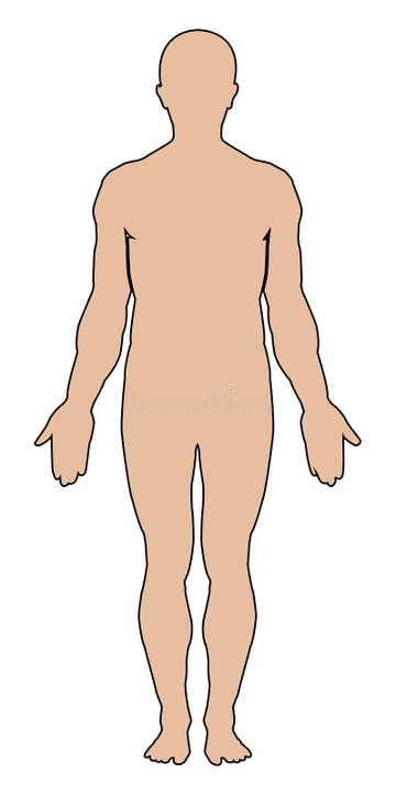 Human body outline stock vector. Illustration of male - 22432393