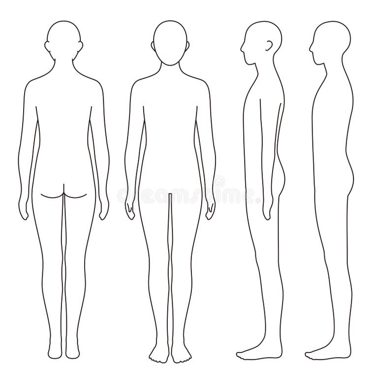 Body Outline Stock Illustrations – 213,019 Body Outline Stock ...