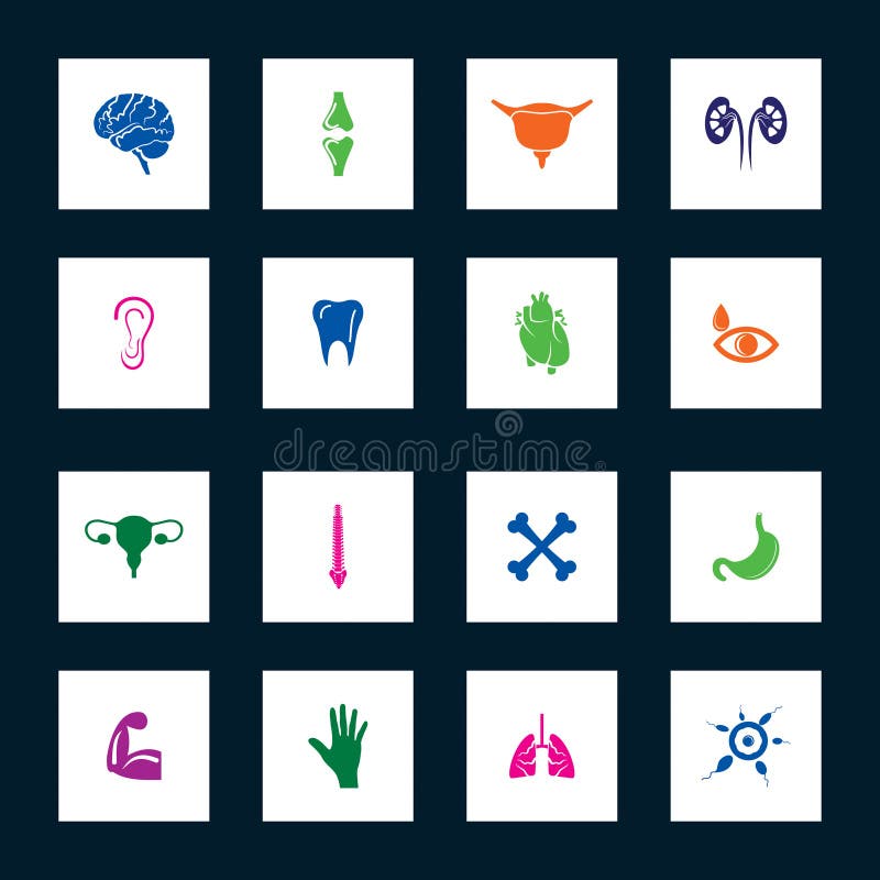Very Useful Editable Human Body Parts or Organs Icon Set Stock Vector ...