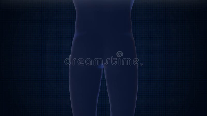 Human Body Scan Concept. 4k 3D Animation Stock Footage - Video of human ...