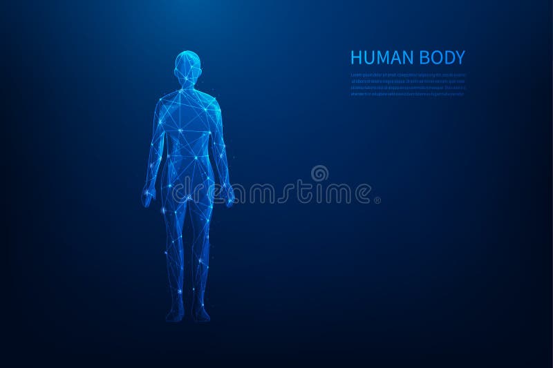 Human Body Science Low Poly Wireframe Technology on Blue Background ...