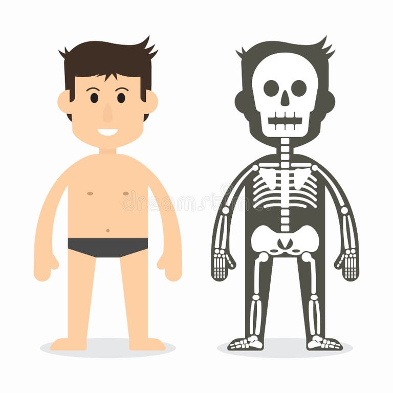 Cartoon Skeletal System Stock Illustrations – 717 Cartoon Skeletal ...