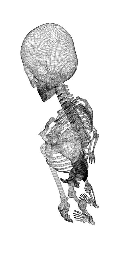Human body, skeleton stock illustration. Illustration of illness - 47016589