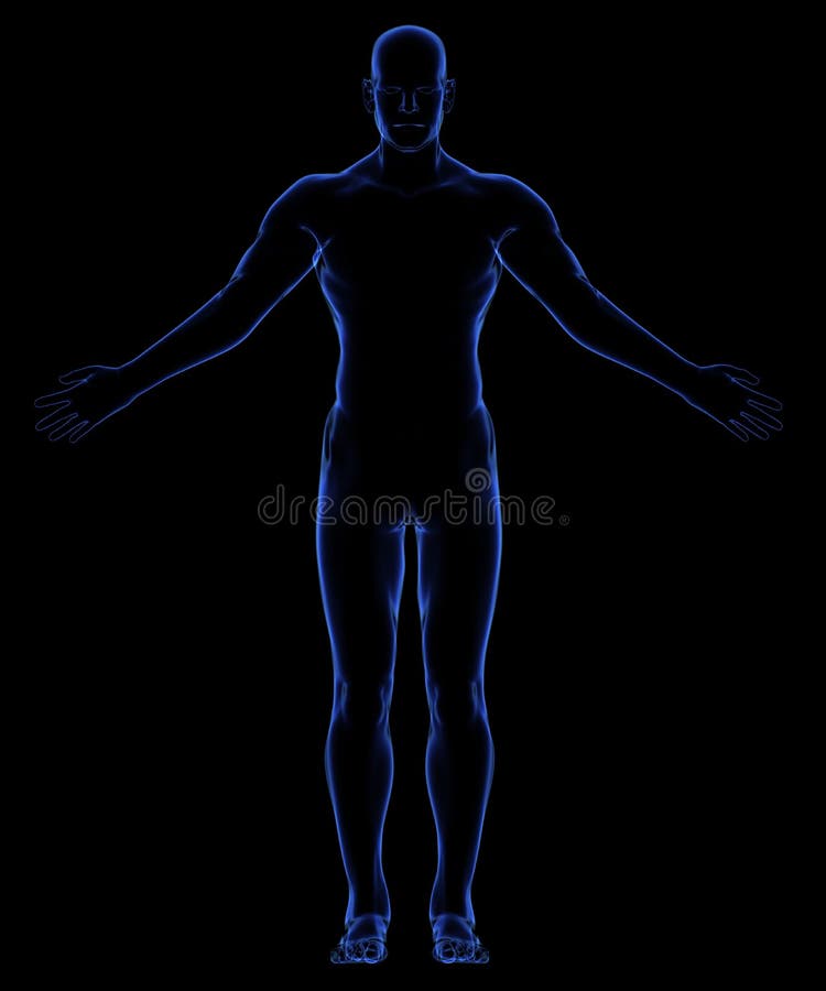 Human Body Contour Stock Illustrations – 22,595 Human Body Contour ...