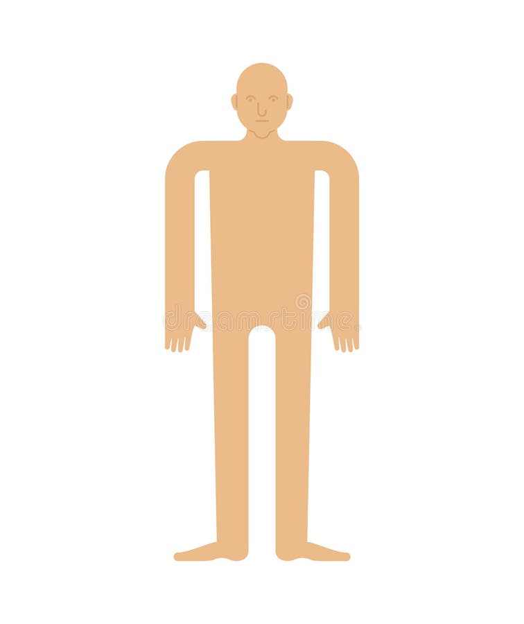 Medical Body Outline Front Back Side Stock Illustrations – 29 Medical ...