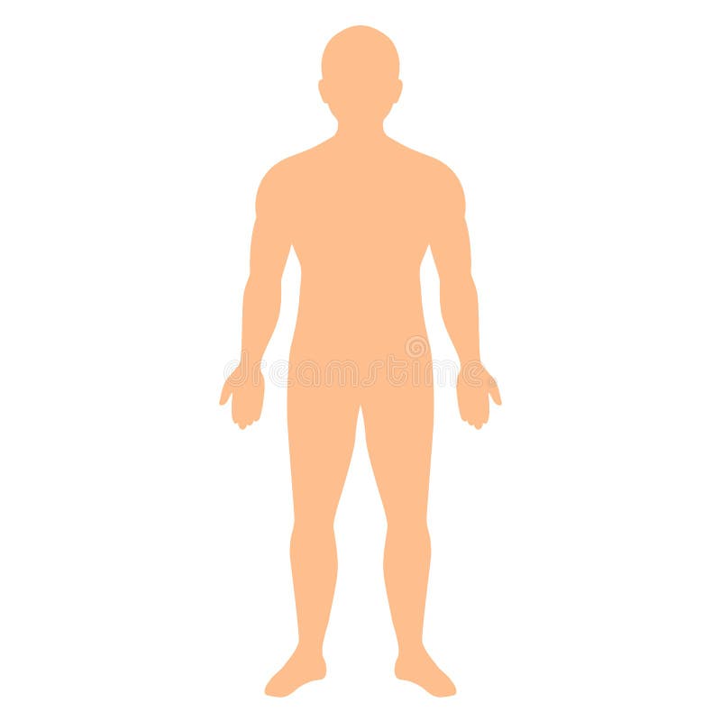 Human Body Silhouette, Vector Illustration Stock Vector - Illustration ...