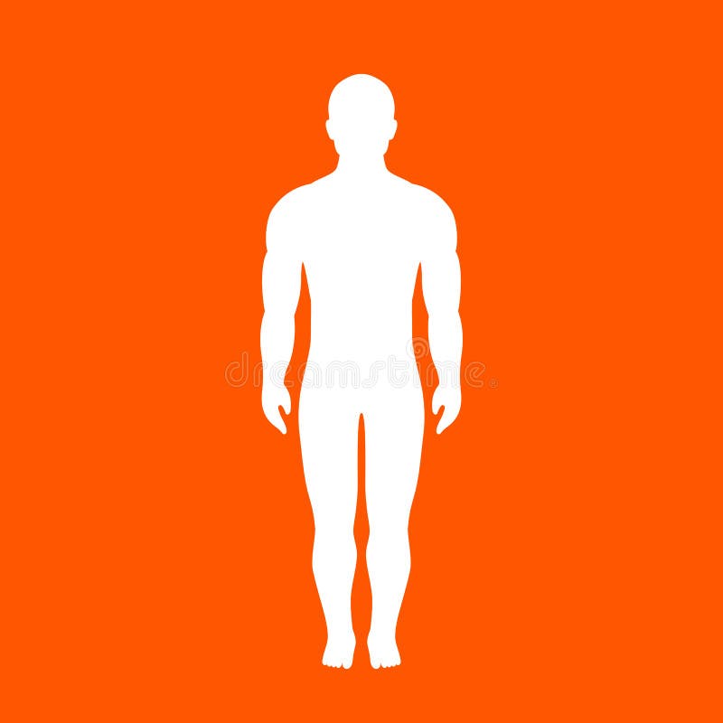 Human Body Vector Silhouette Stock Vector - Illustration of black ...