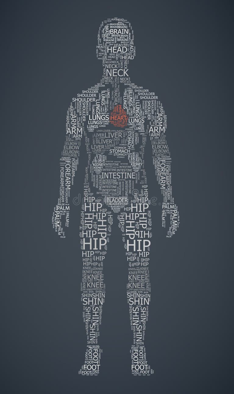 Human Body Word Stock Illustrations – 2,973 Human Body Word Stock ...