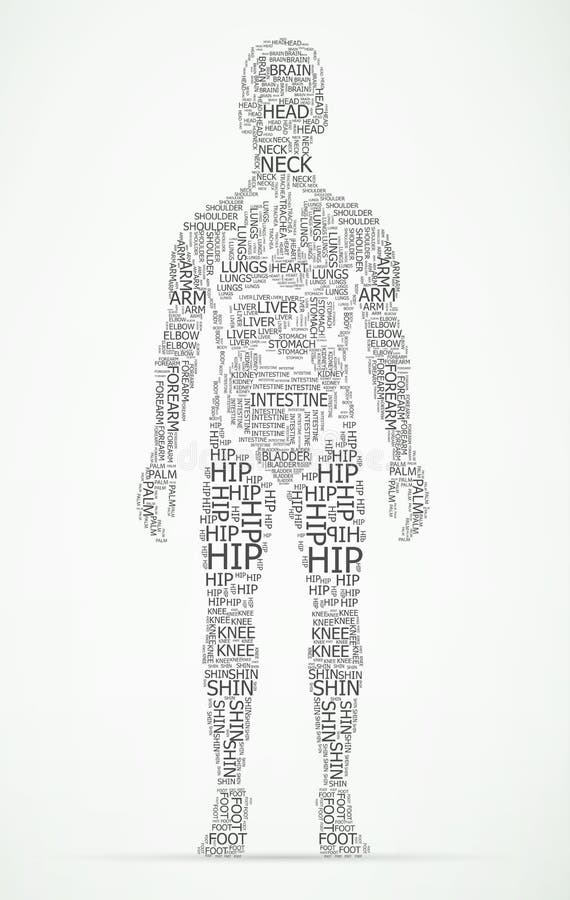 Human Body Wordcloud Stock Vector Illustration Of Biology 31565094