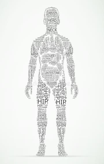 Human Body Word Stock Illustrations – 2,973 Human Body Word Stock ...