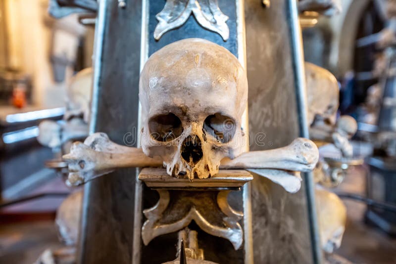 Human Bone with Bone. Big Bone in Teeth Stock Image - Image of catacomb ...