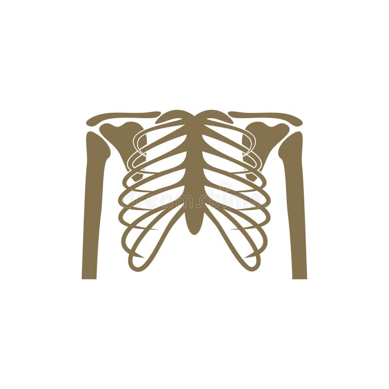 Human Bone Orthopedic Logo Concept Vector. Bone X-ray Image of Human ...