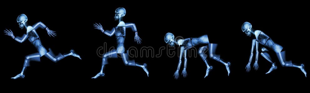 Human bone is running stock image. Image of race, knee - 46091981