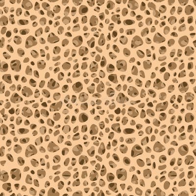 Human Bone Texture 03 a stock vector. Illustration of healthy - 71803946