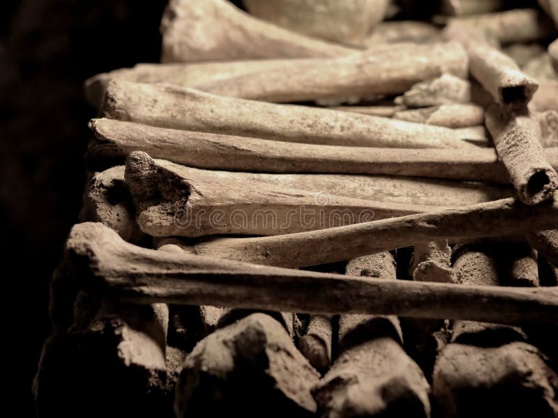 Human bones stock photo. Image of graveyard, skeleton - 176275174