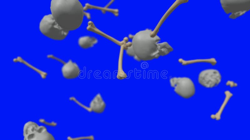 Human Bones Falling in Slow Motion on a Green Screen Background Stock ...
