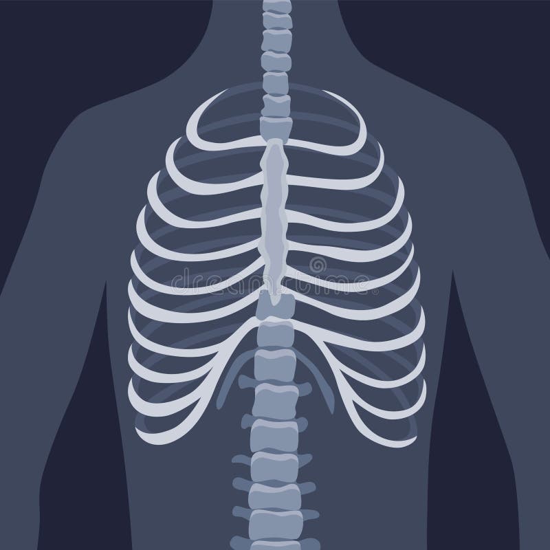 Human Bones Orthopedic and Skeleton Icon, Bone X-ray Image of Human Joints, Anatomy Skeleton ...