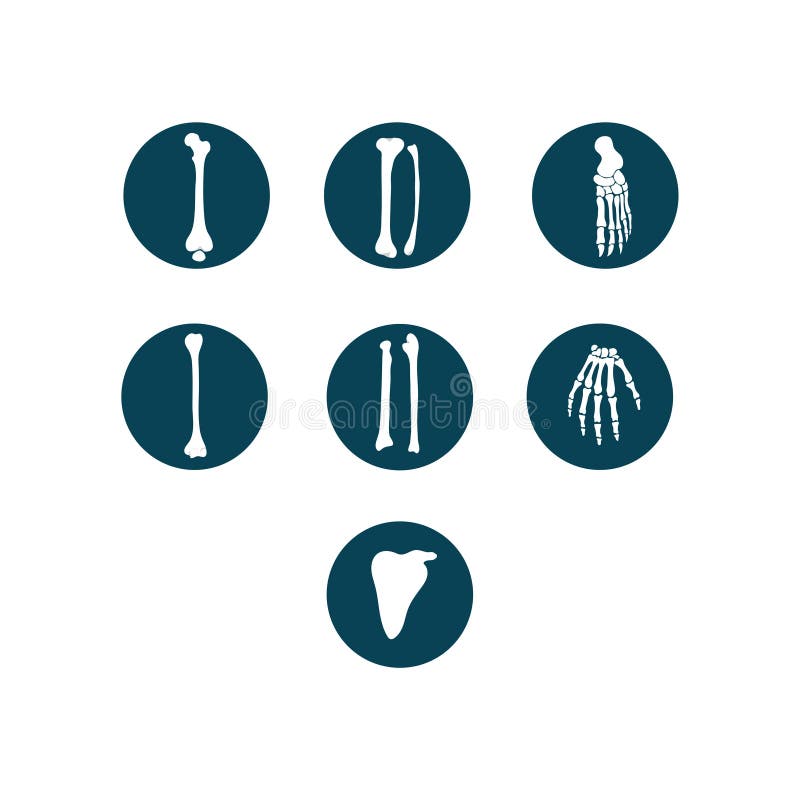 Human Bones and Orthopedic Vector Icon Set Stock Vector - Illustration ...