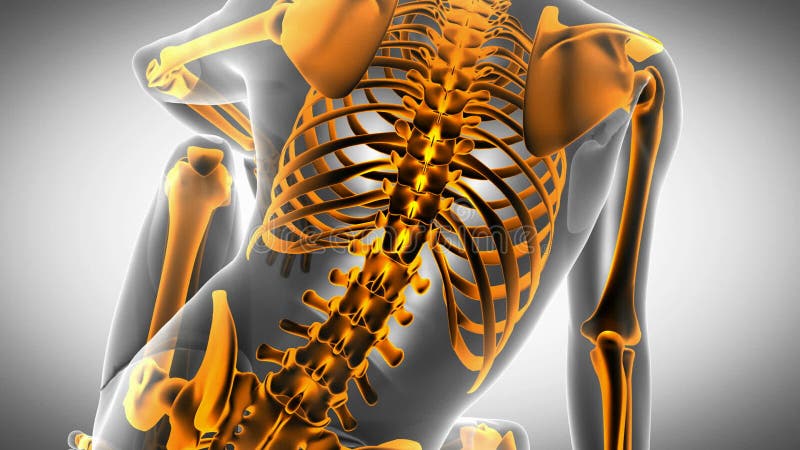 Human Bones Radiographic Scan. Medical Footage Stock Video - Video of ...