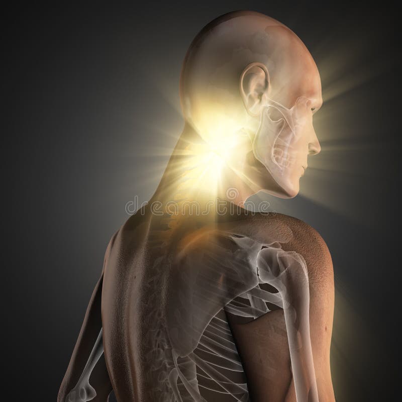 Human Bones Radiography Scan Image Stock Photo - Image of patient ...