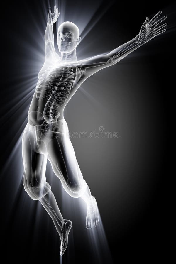 Human Bones Radiography Scan Image Stock Photo - Image of medical ...