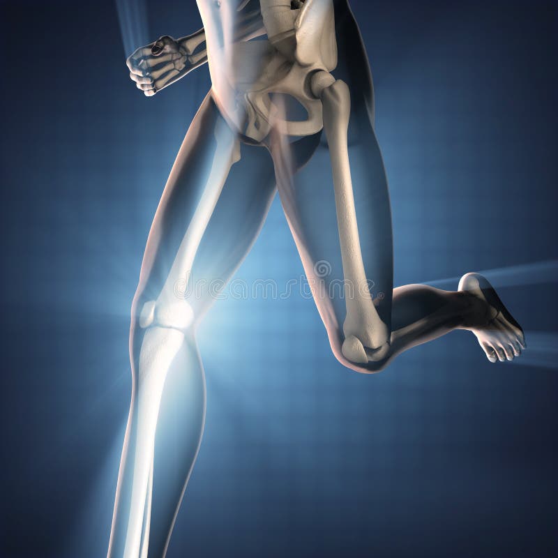 Human Bones Radiography Scan Image Stock Photo - Image of doctor ...