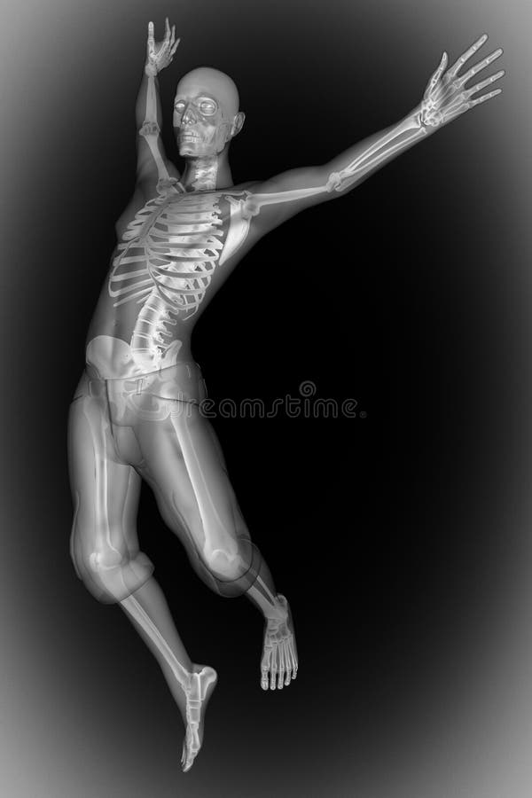 Human Bones Radiography Scan Image Stock Illustration - Illustration of ...