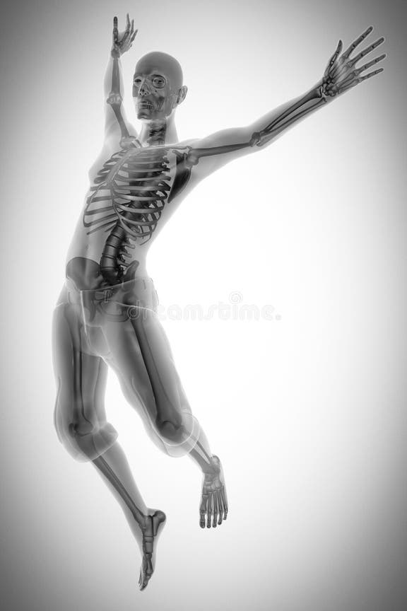 Human Bones Radiography Scan Image Stock Illustration - Illustration of ...