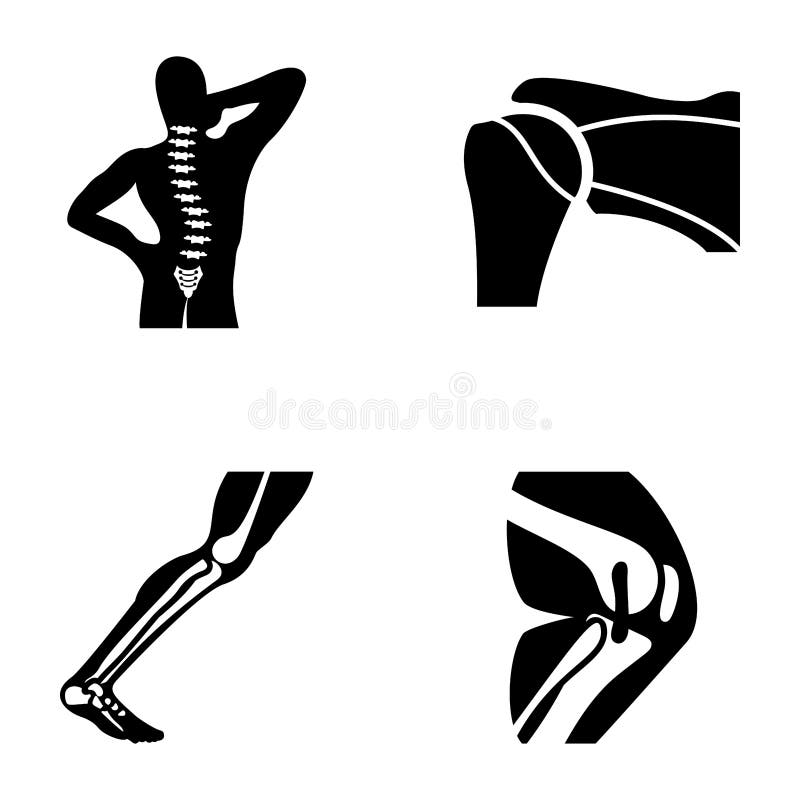 Spine and Bones Solid Vectors Set Stock Illustration - Illustration of ...