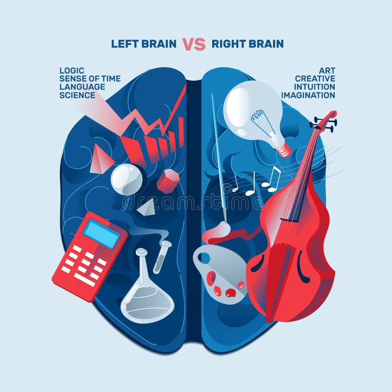 Left Right Human Brain Concept. Creative Part and Logic Part Stock ...