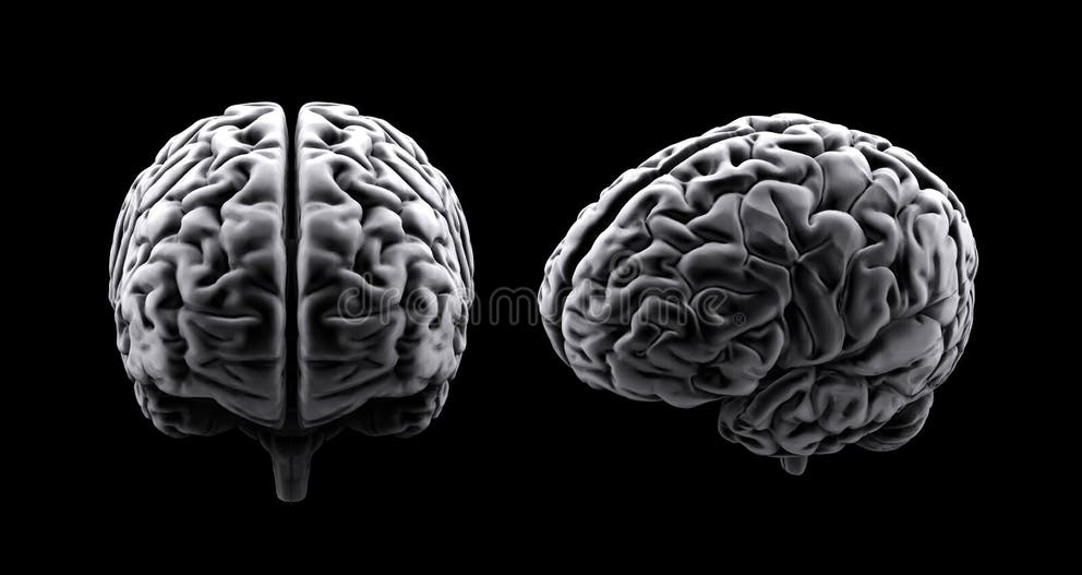 Human Brain Machine Cogs Stock Illustrations – 593 Human Brain Machine ...