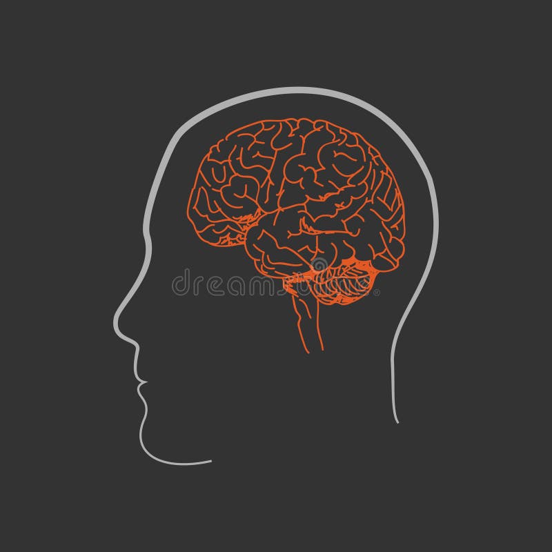 Green brain stock illustration. Illustration of abstract - 1371006