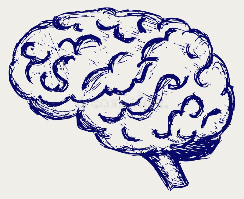 Brain Doodle Stock Illustrations – 16,372 Brain Doodle Stock ...
