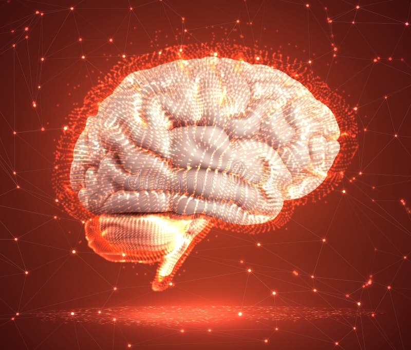 Human Brain and Abstract Design Elements. Mesh Vector Stock Vector ...