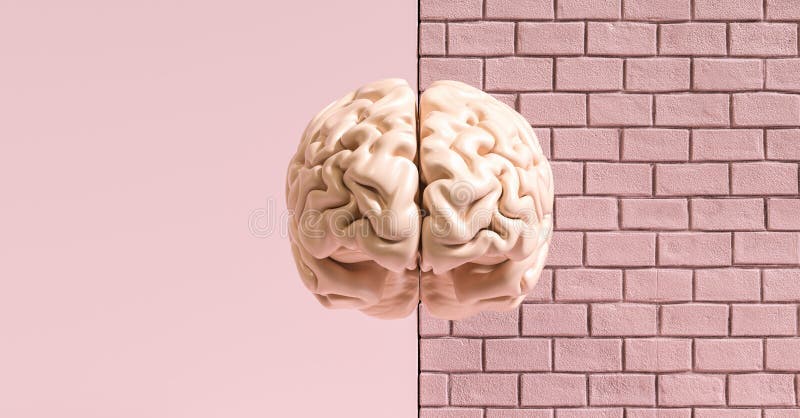 Human Brain Against a Brick Wall, Concept Image for Feminism and Woman ...