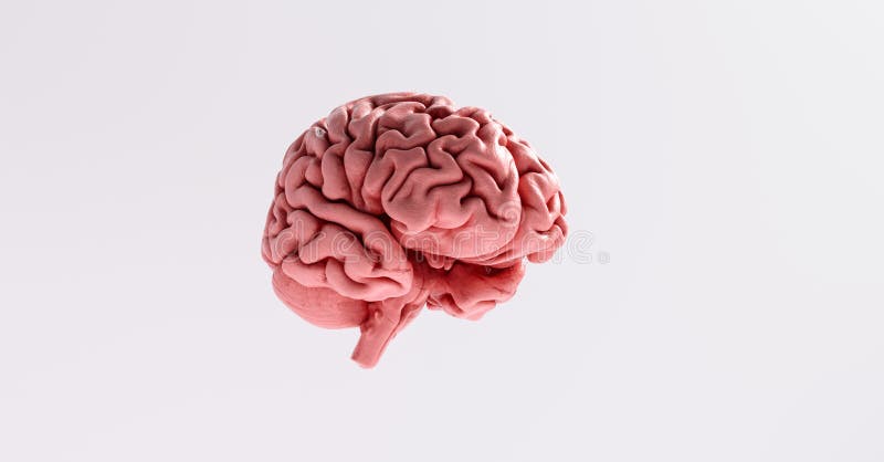 Human Brain Wrapped in Shrink Wrap As a Plastic Waste and Medical ...