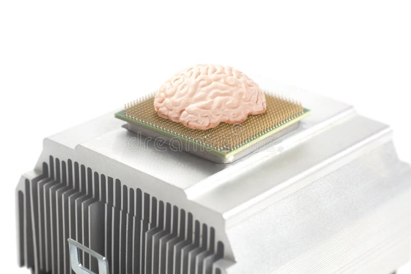 Human Brain Anatomical Model on CPU Processor Microchip Stock Photo ...
