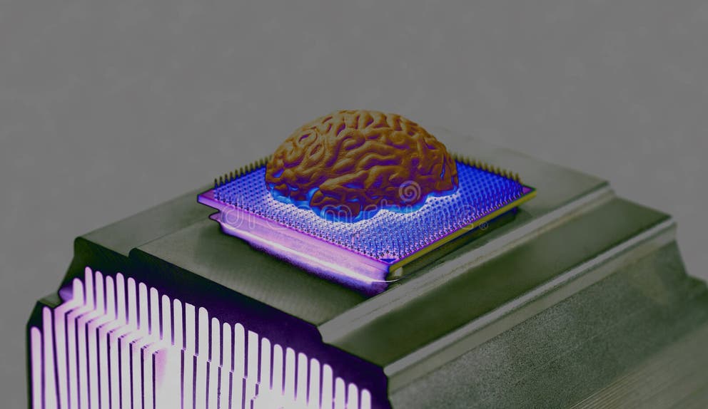 Human Brain Anatomical Model on CPU Processor Microchip Stock Image - Image of chip, processor ...
