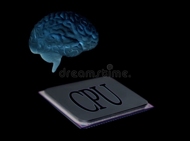 Human Brain Anatomical Model with CPU Processor Microchip Stock Photo ...