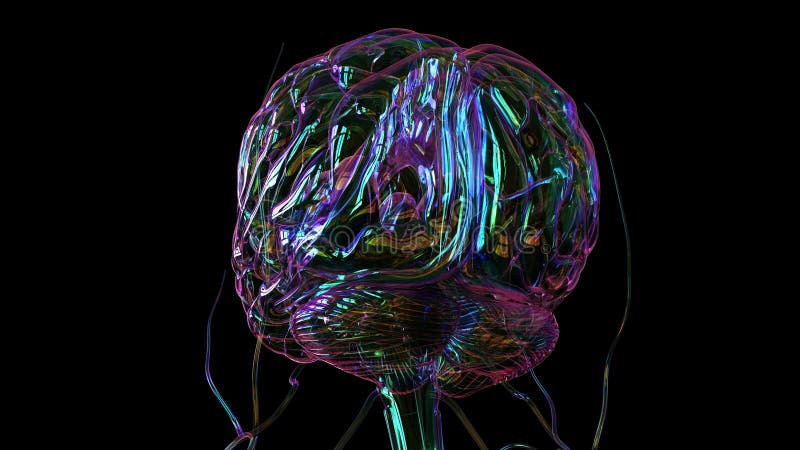 Human Brain Anatomy for Medical Concept 3D Rendering Stock Illustration ...