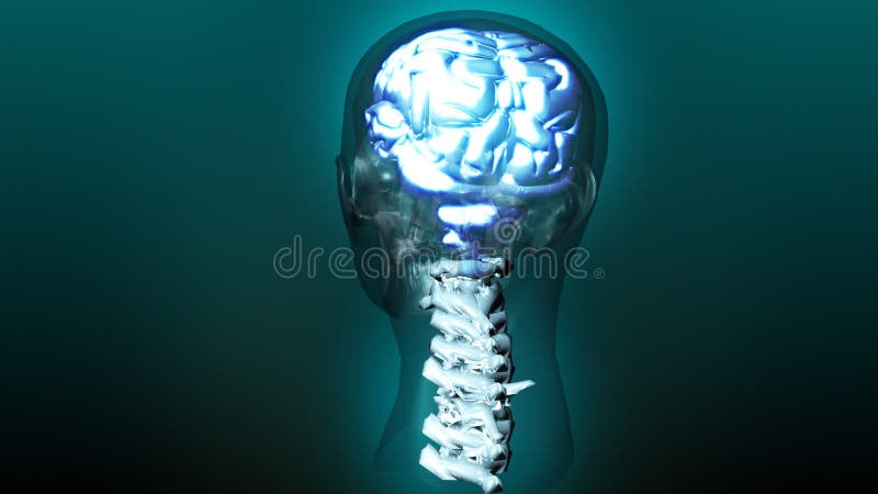 3D Animated Human Brain Loop Stock Video - Video of system, energy ...