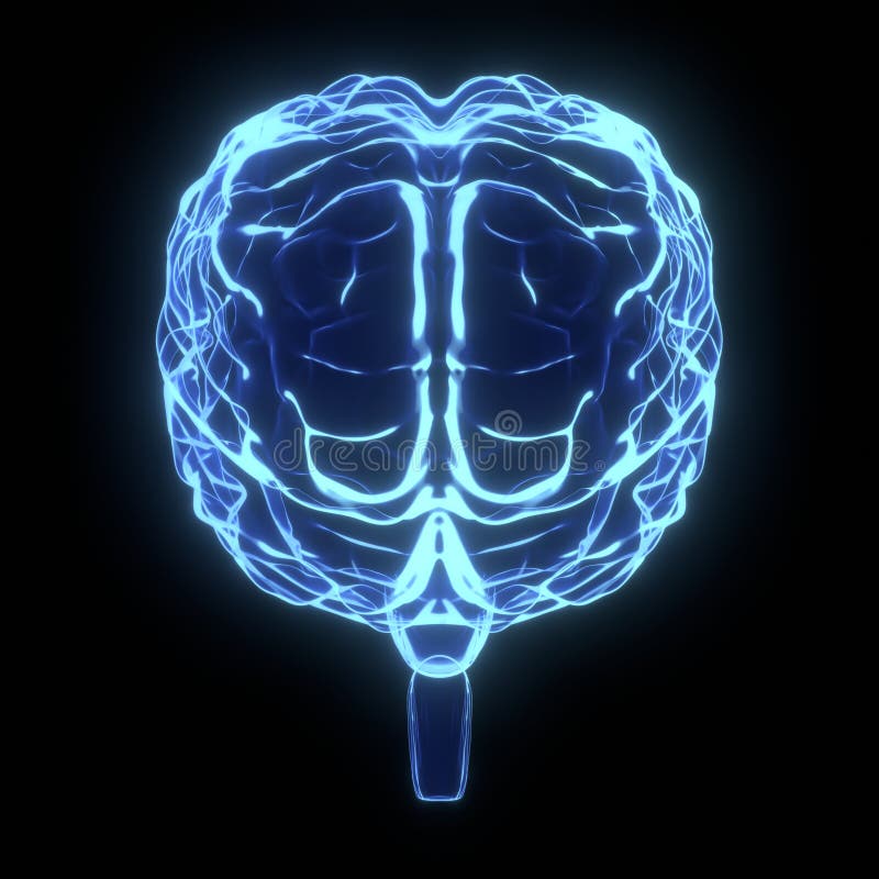 Human Brain As X-ray Illustration - 3D Illustration Stock Illustration ...