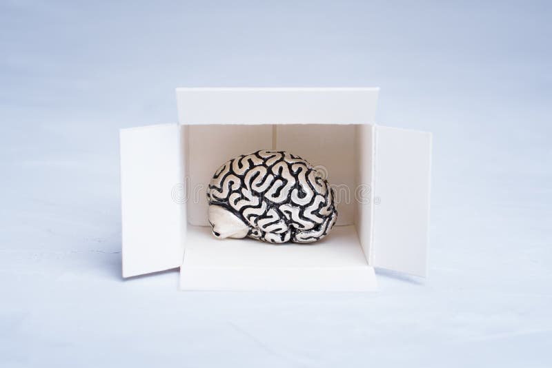 Human brain in a box stock image. Image of development - 258807525