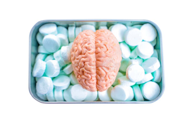 Human Brain and Breath Mints Isolated on White Stock Photo - Image of ...