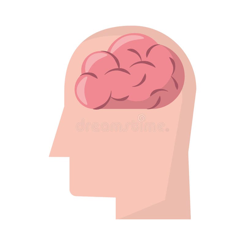Human brain cartoon stock vector. Illustration of genius - 146849600