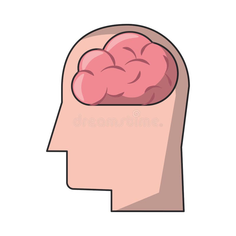 Human brain cartoon stock vector. Illustration of creative - 146859104
